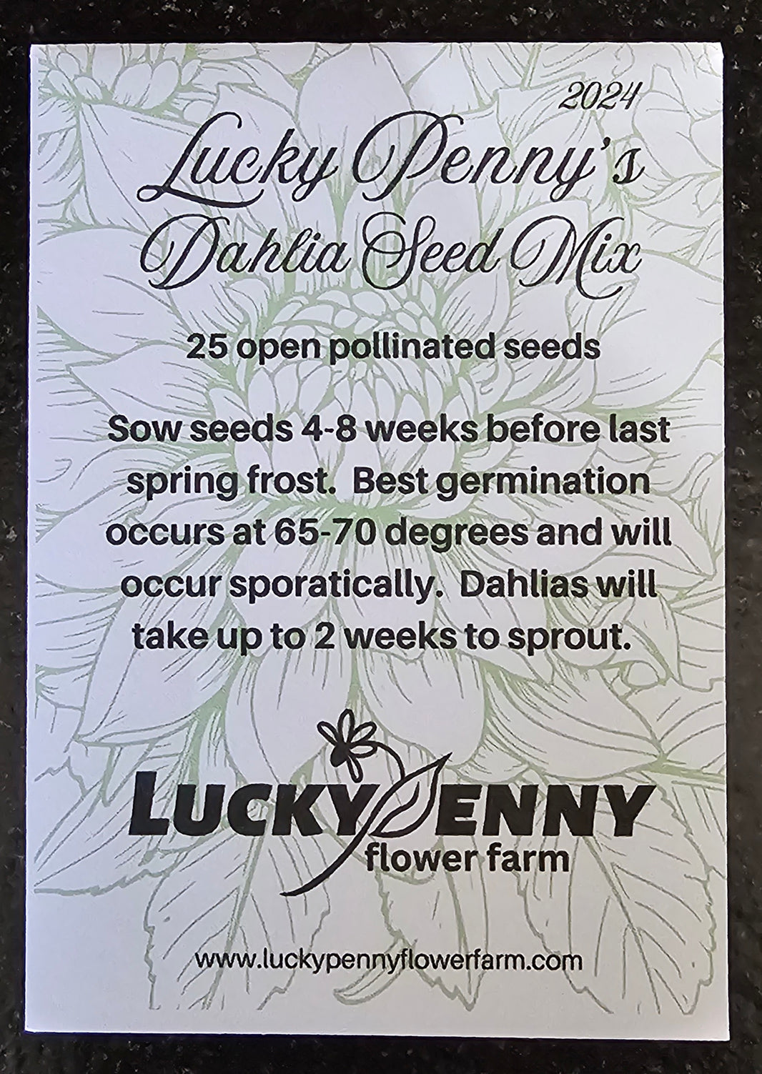 Lucky Penny Flower Farm Milton Delaware Dahlia Flower Farm